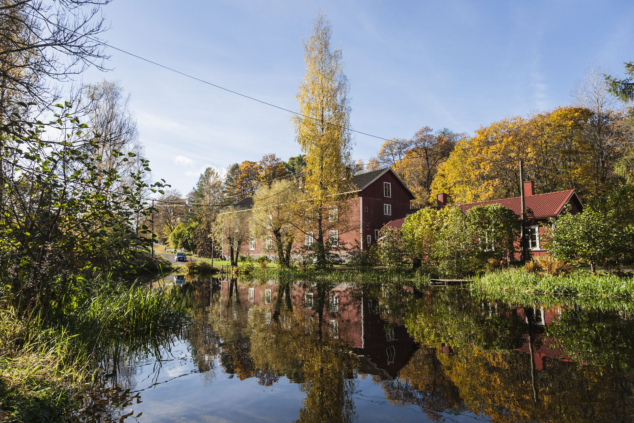 Finnish nature – MINNA JACOBON